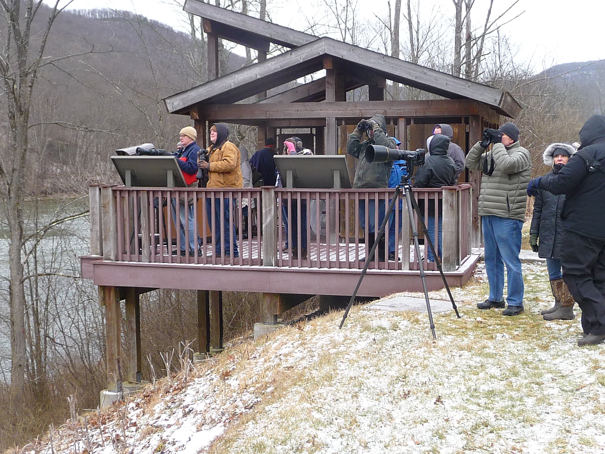 Eagle Watch event a success | News, Sports, Jobs - Times Observer